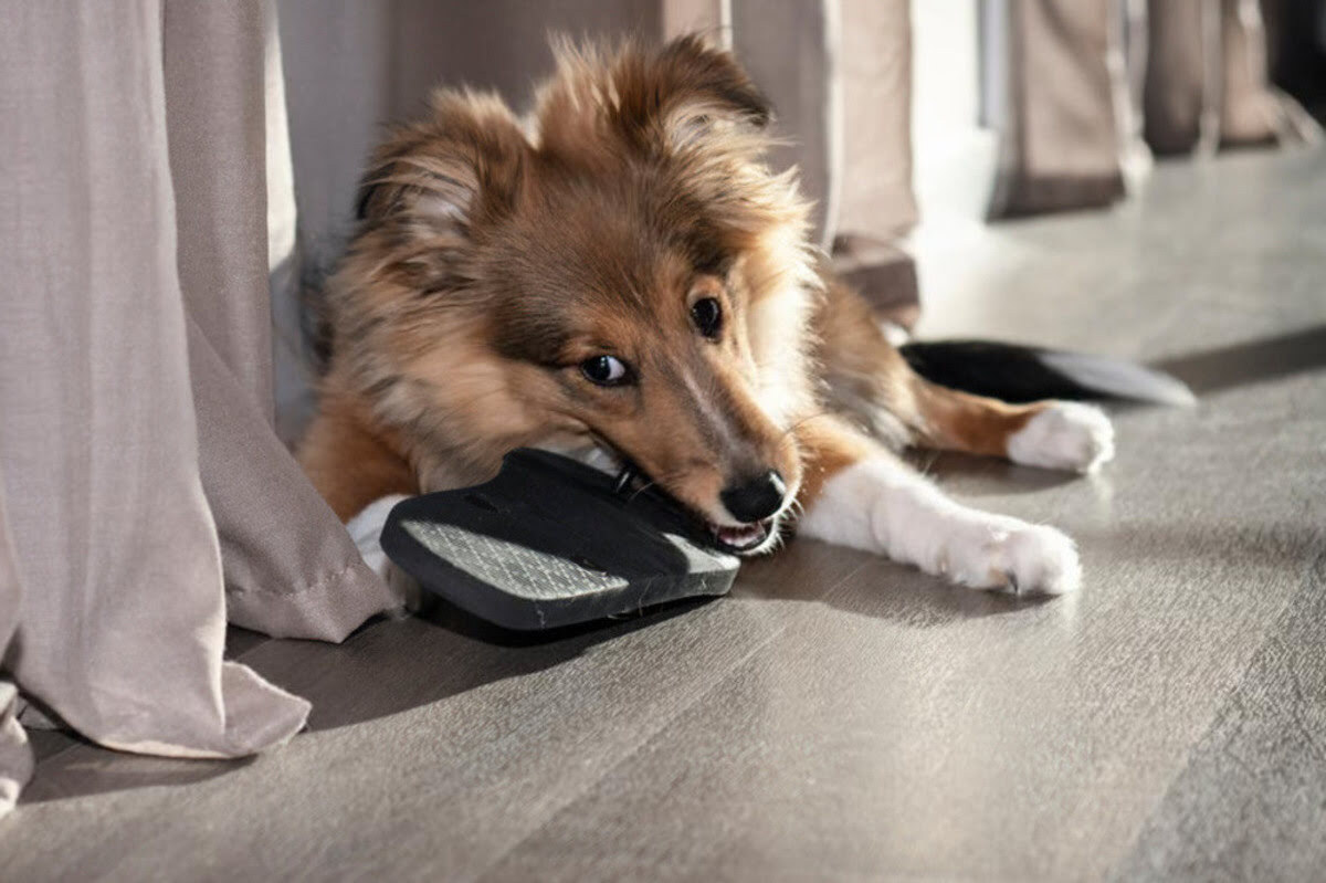 Laminate Flooring vs Vinyl: Pros, Cons & Real-Life Performance